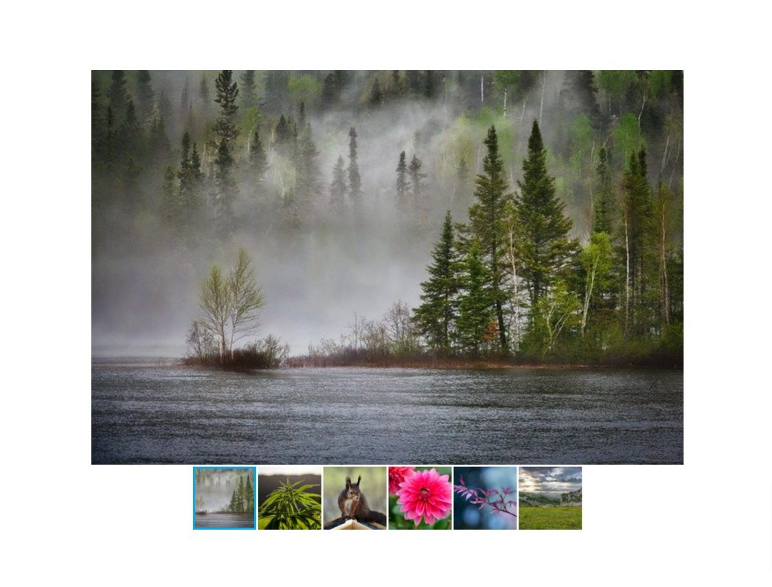 Format API to Image Gallery - WPGetAPI