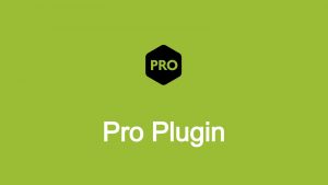 Pro Plugin - WPGetAPI